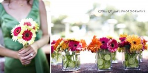Wedding Flowers :: Gerbera Daisies – bubbly bride